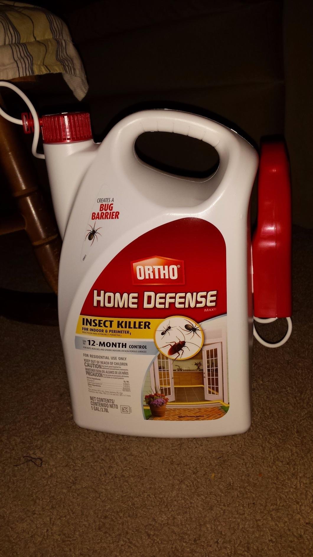 Amazon.com: Ortho 0196710 Home Defense MAX Insect Killer Spray for ...