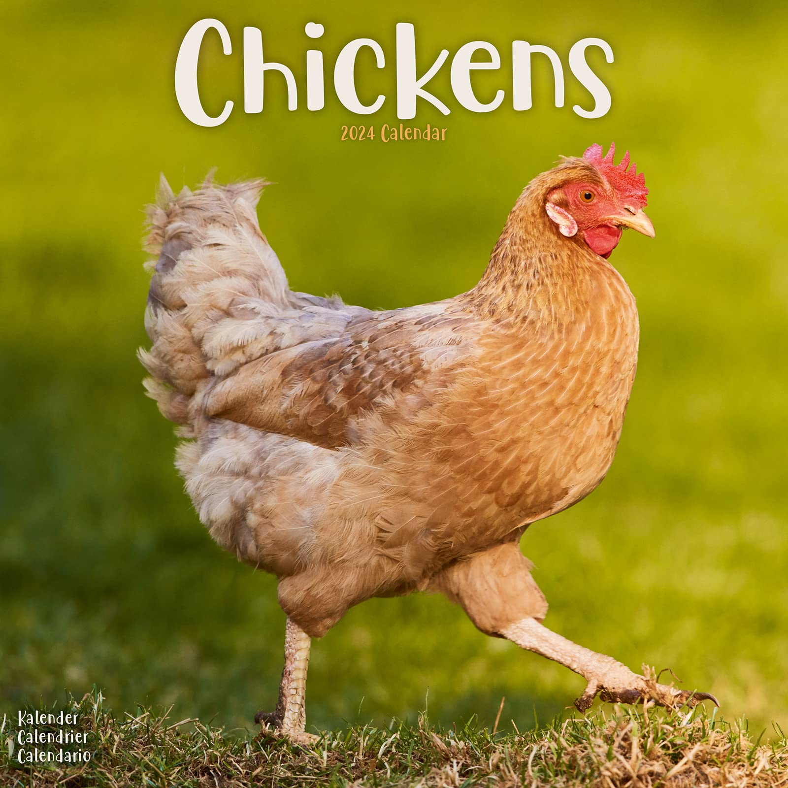 Chickens Calendar - Calendars 2023 - 2024 Wall Calendars - Animal ...