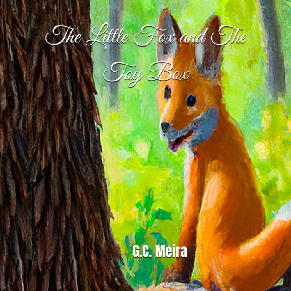 The little fox and the toy box: Meira, G C: 9798372738263: Amazon.com ...