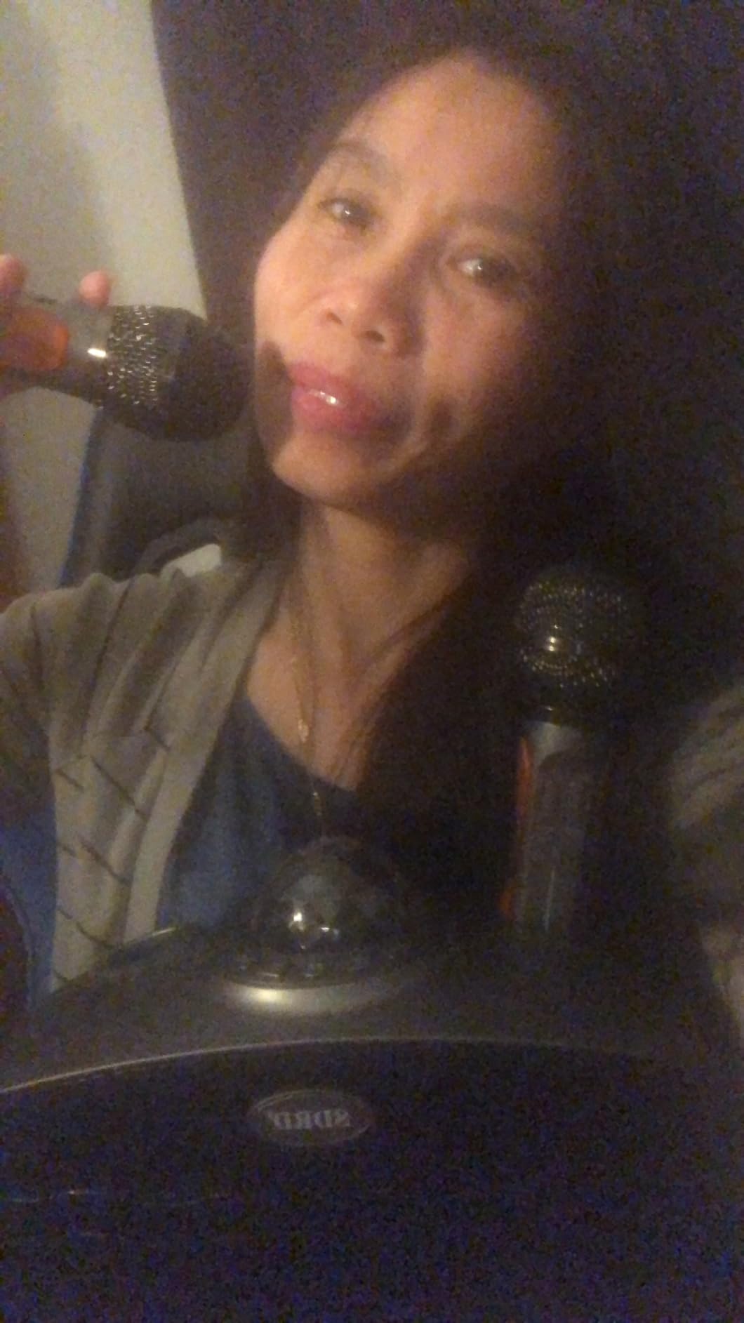 SINWE Bluetooth Karaoke Machine with 2 Wireless Microphones, Portable ...