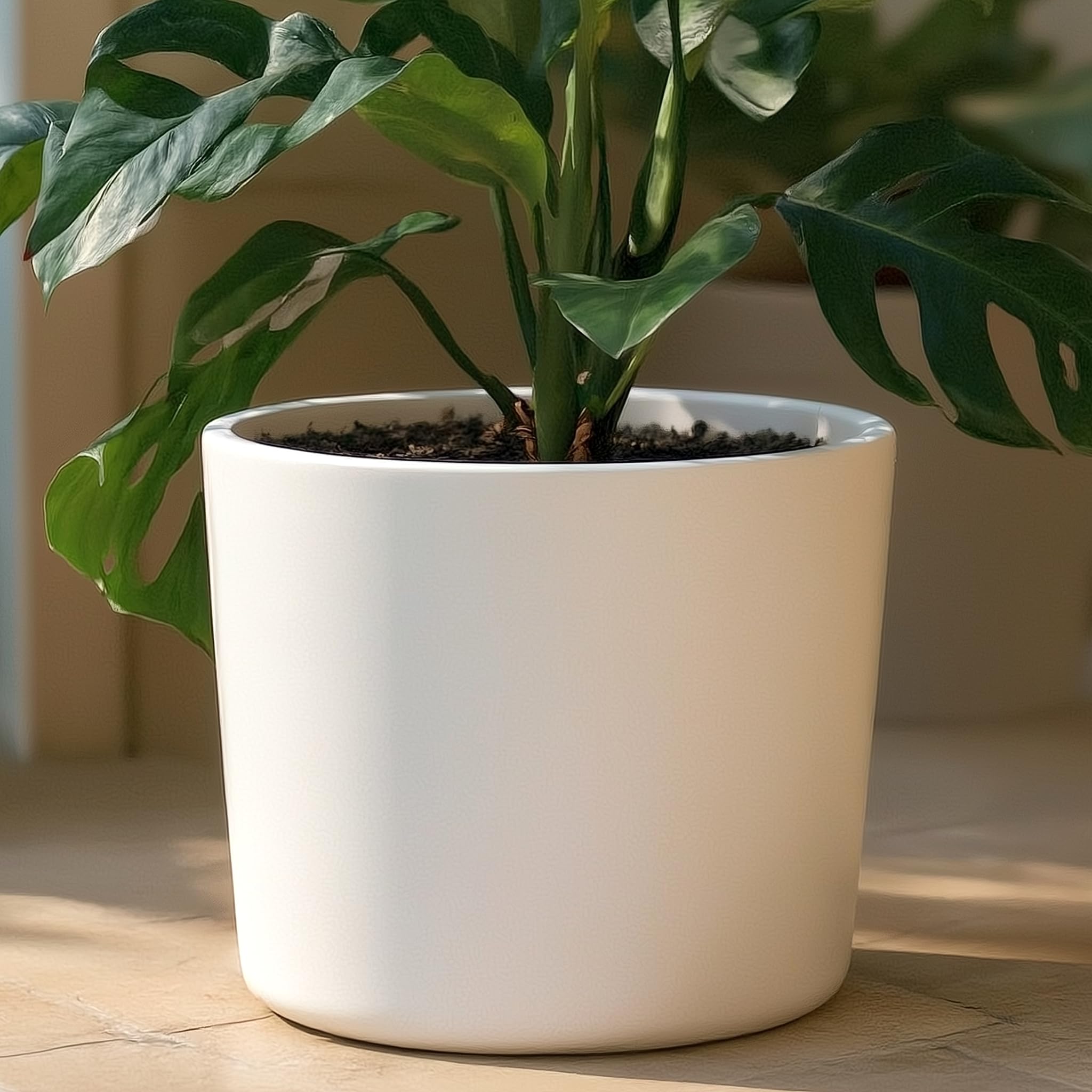 Modern Ceramic Planters