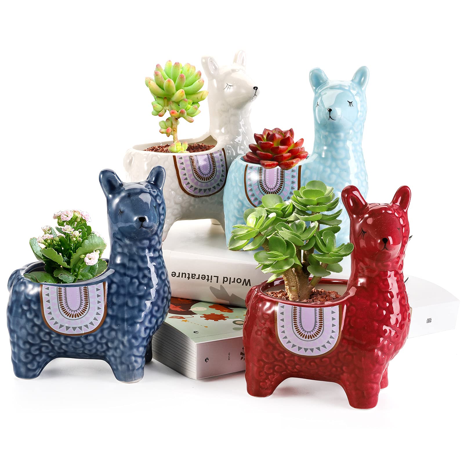 Diy Llama Succulent Planter Bradford Greenhouses Garden Build This