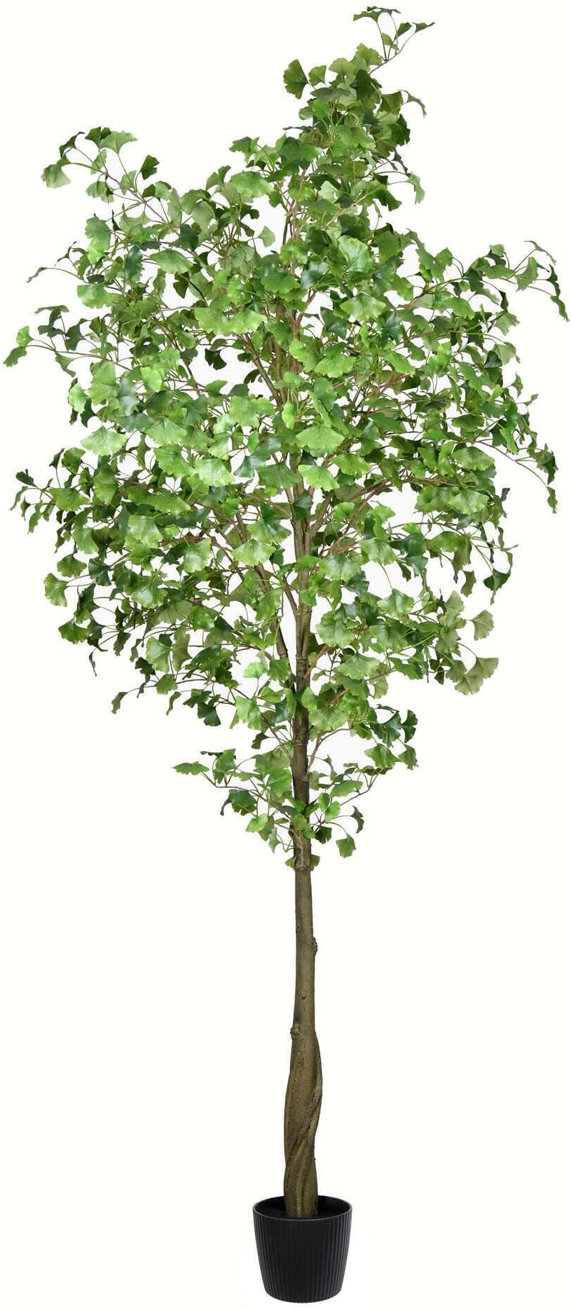 Amazon.com: Vickerman Everyday Artificial Gingko Tree 9 Foot Tall ...