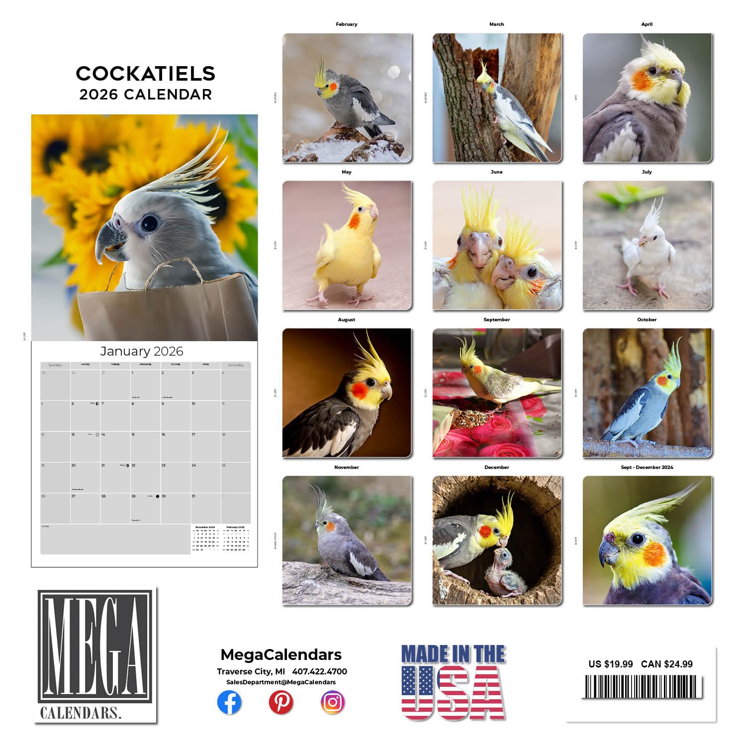 Snapklik.com : 2026 Cockatiels Calendar - 16 Month 12x24 Monthly Wall ...