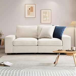 Amazon.com: COOSLEEP 2 Seater Loveseat Sofa, Small Couch Sofa with ...