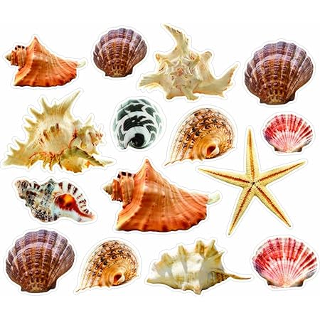 Amazon.com: Seashell Wall Decals, Beach Bathroom Decor Stickers, Sea ...