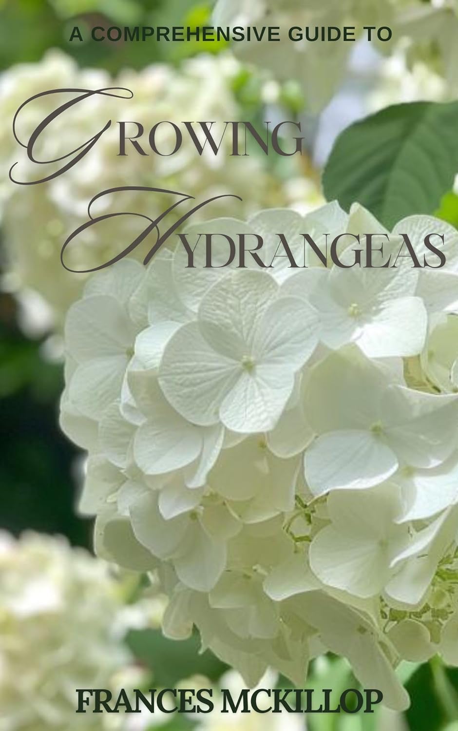 A Comprehensive Guide to Growing Hydrangeas eBook : McKillop, Frances ...