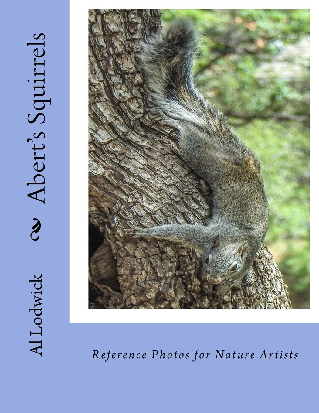 Abert's Squirrels: Reference Photos for Nature Artists: Lodwick, Al ...