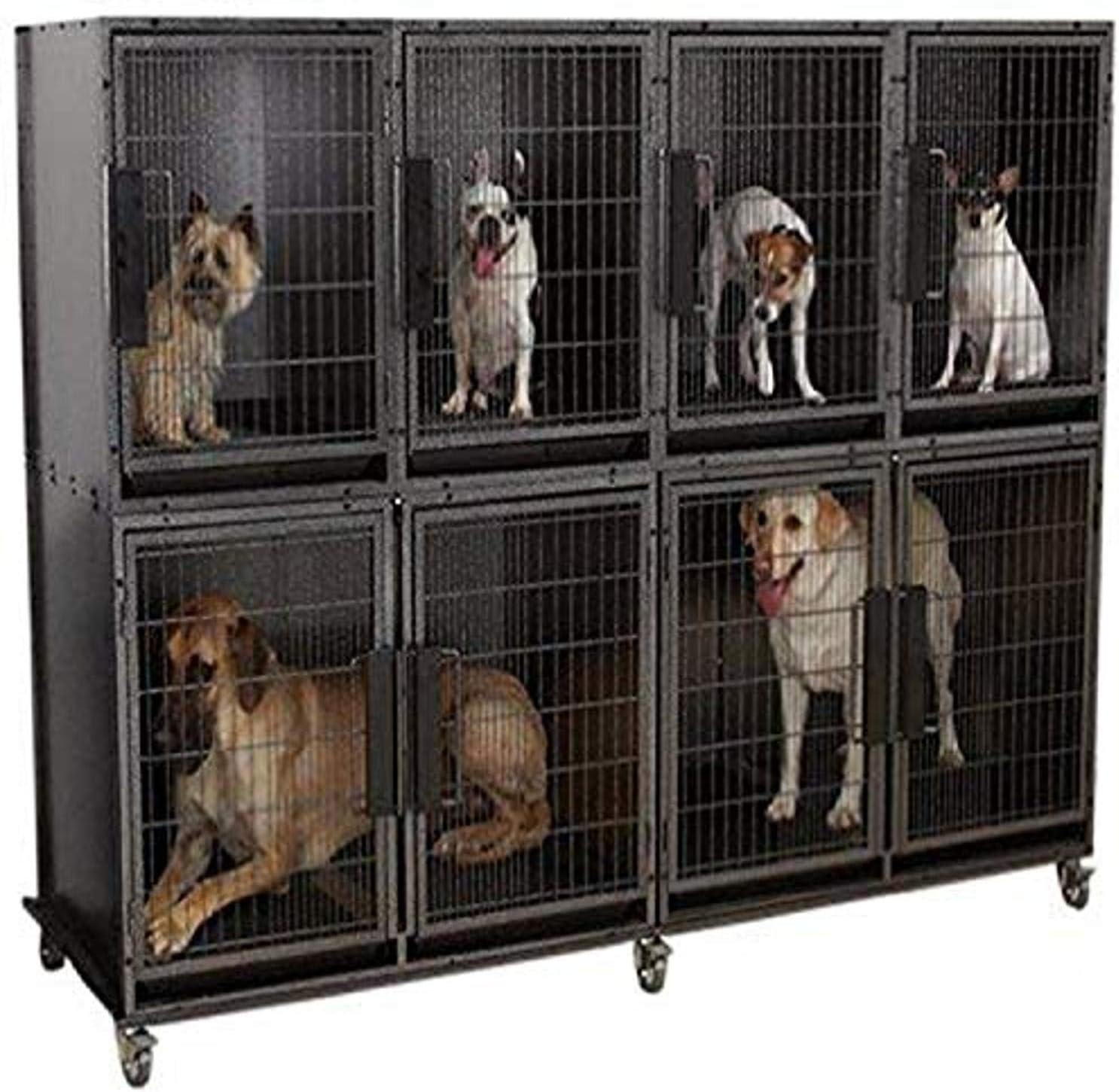 Amazon.com : ProSelect Modular Kennel Cage Bank Kit, 6-Units : Pet ...