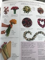 5 Language Visual Dictionary [Lingua Inglese]: English, French, German ...