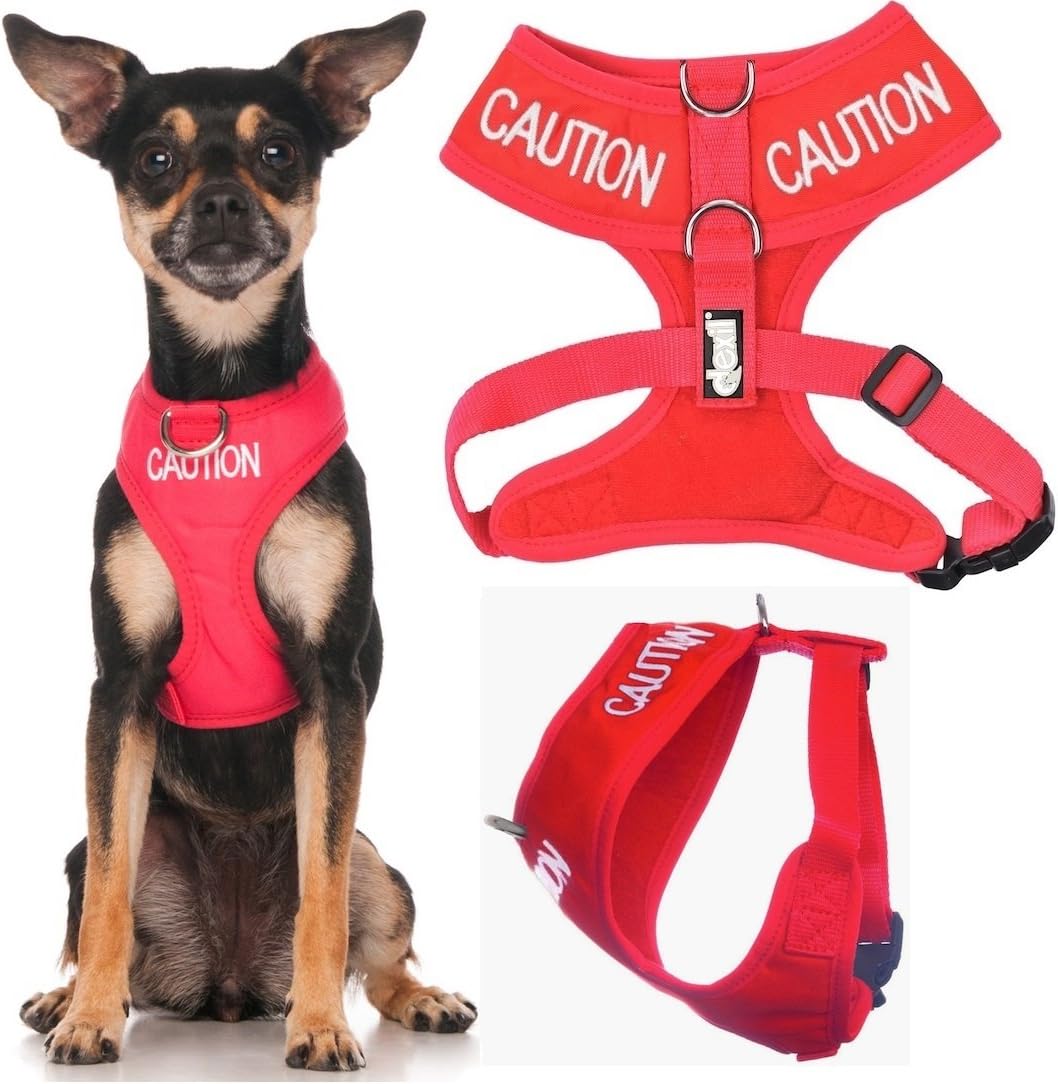 Amazon.com : Dexil Limited Caution (Do Not Approach) Red Color Coded ...