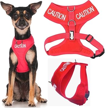 Amazon.com : Dexil Limited Caution (Do Not Approach) Red Color Coded ...