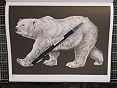 Amazon.com: Intricate Ink: Animals in Detail: A Coloring Book by Tim ...