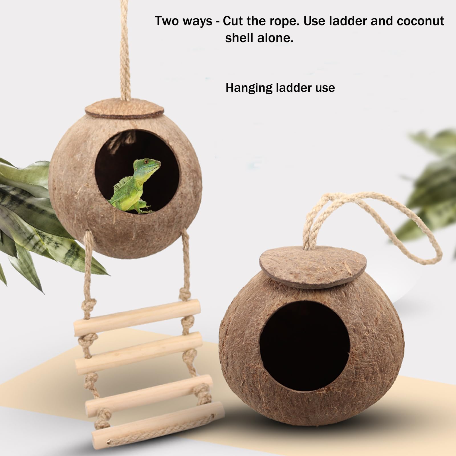 Snapklik.com : Crested Gecko Tank Accessories, Reptile Vines And Plants ...