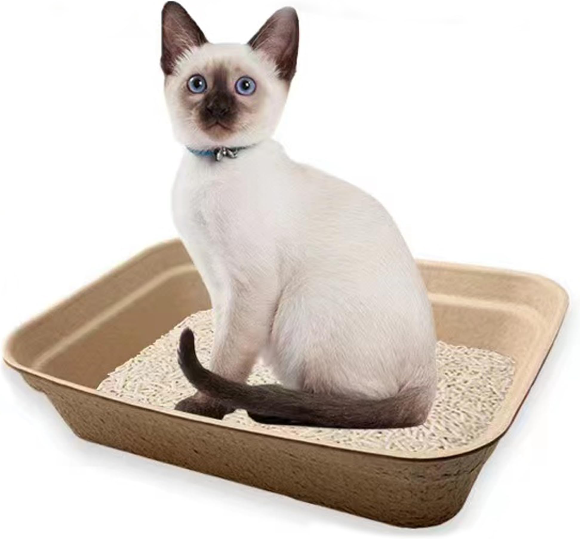 Amazon.com : Vealind 4 Pack Disposable Cat Litter Box for Indoor Cats ...