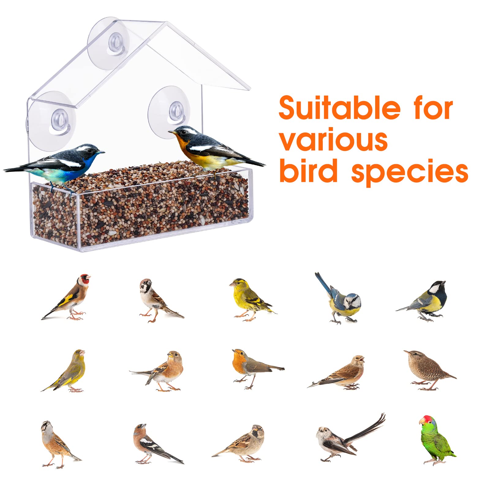 YMGN Window Bird Feeders with Strong Suction Cups, Clear Window Bird ...