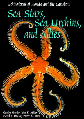 Sea Stars, Sea Urchins, and Allies: Echinoderms of Florida and the ...