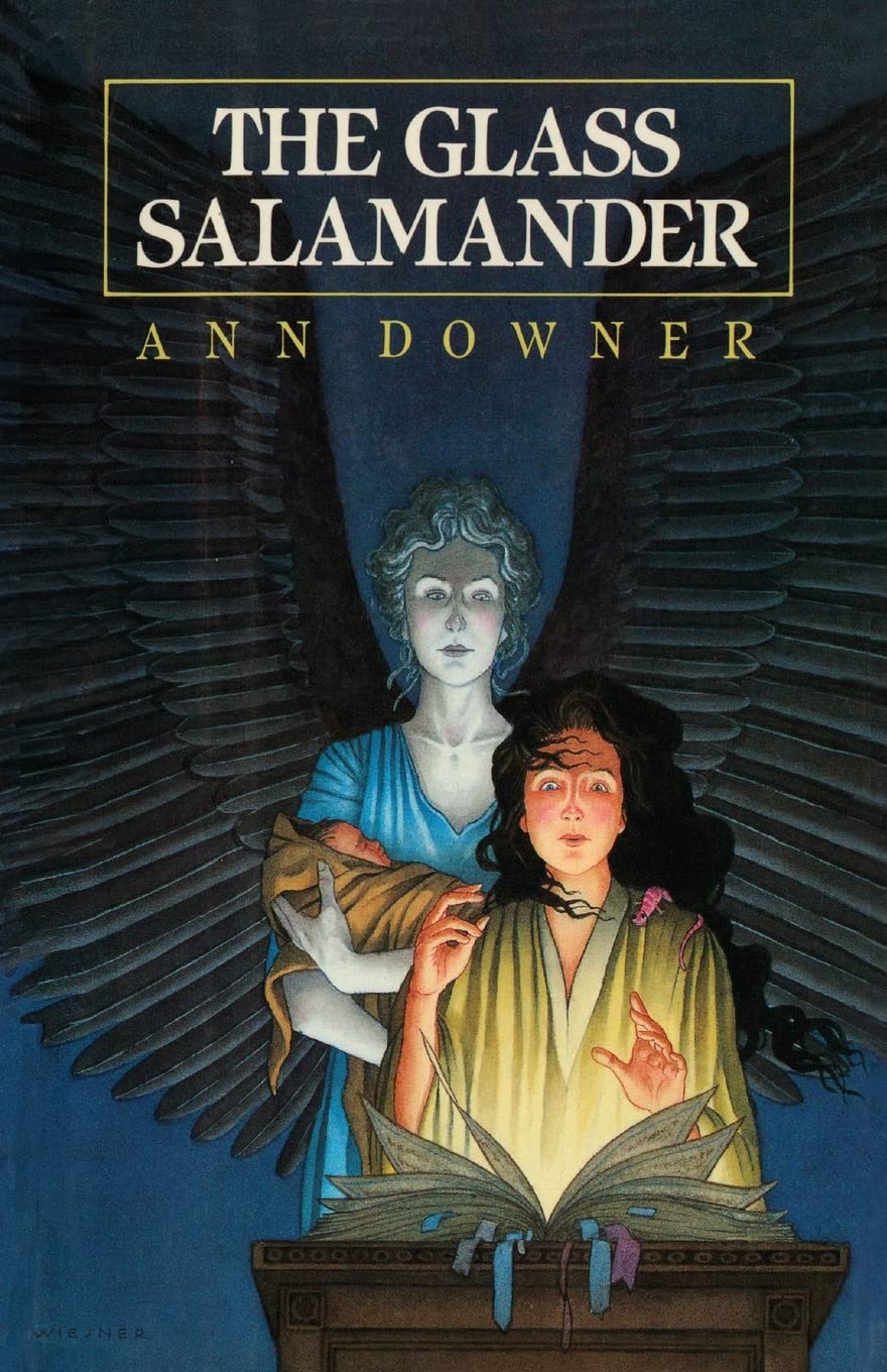 Amazon.com: The Glass Salamander: 9781442472310: Downer, Ann: Books