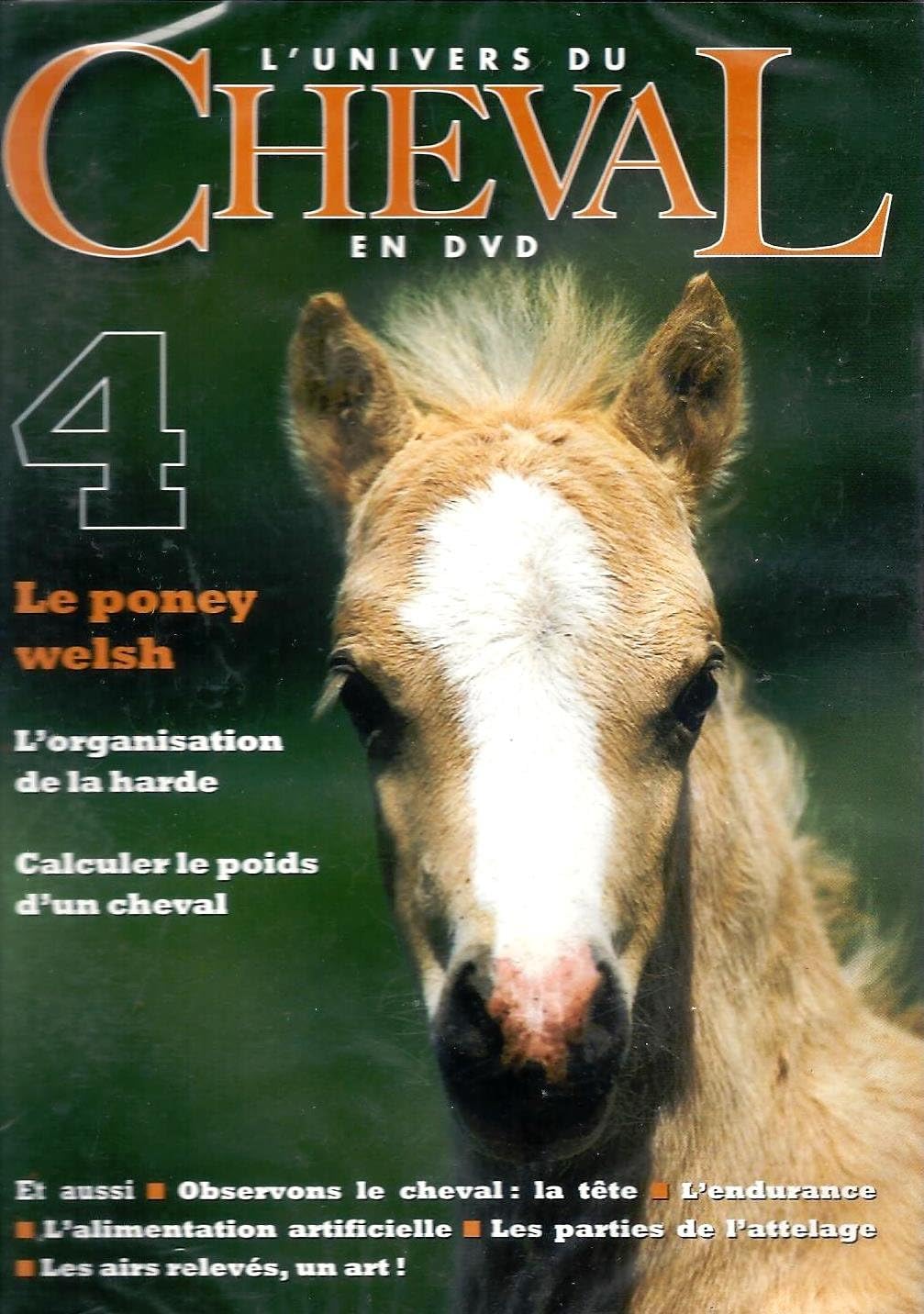 L'Univers du Cheval Le Poney Welsh [DVD] : Amazon.co.uk: Grocery