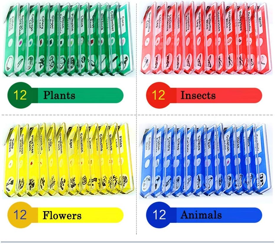 Jiusion 48Pcs Prepared Microscope Slides Specimen Animals Insects ...