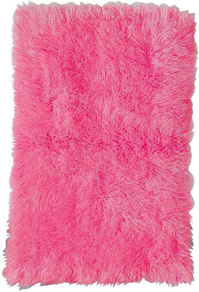 Amazon.com: Home Decorators Collection Premium Flokati Area Rug, 2'x5 ...