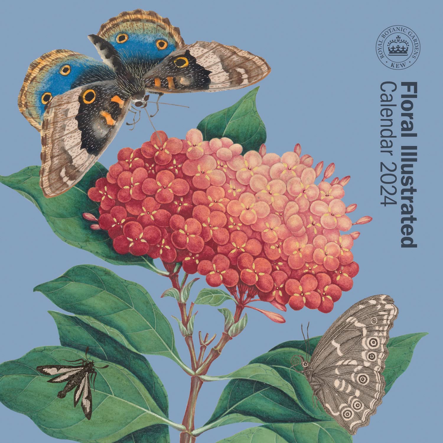 Amazon | Royal Botanic Gardens Kew 2024 Calendar | Carousel Calendars ...