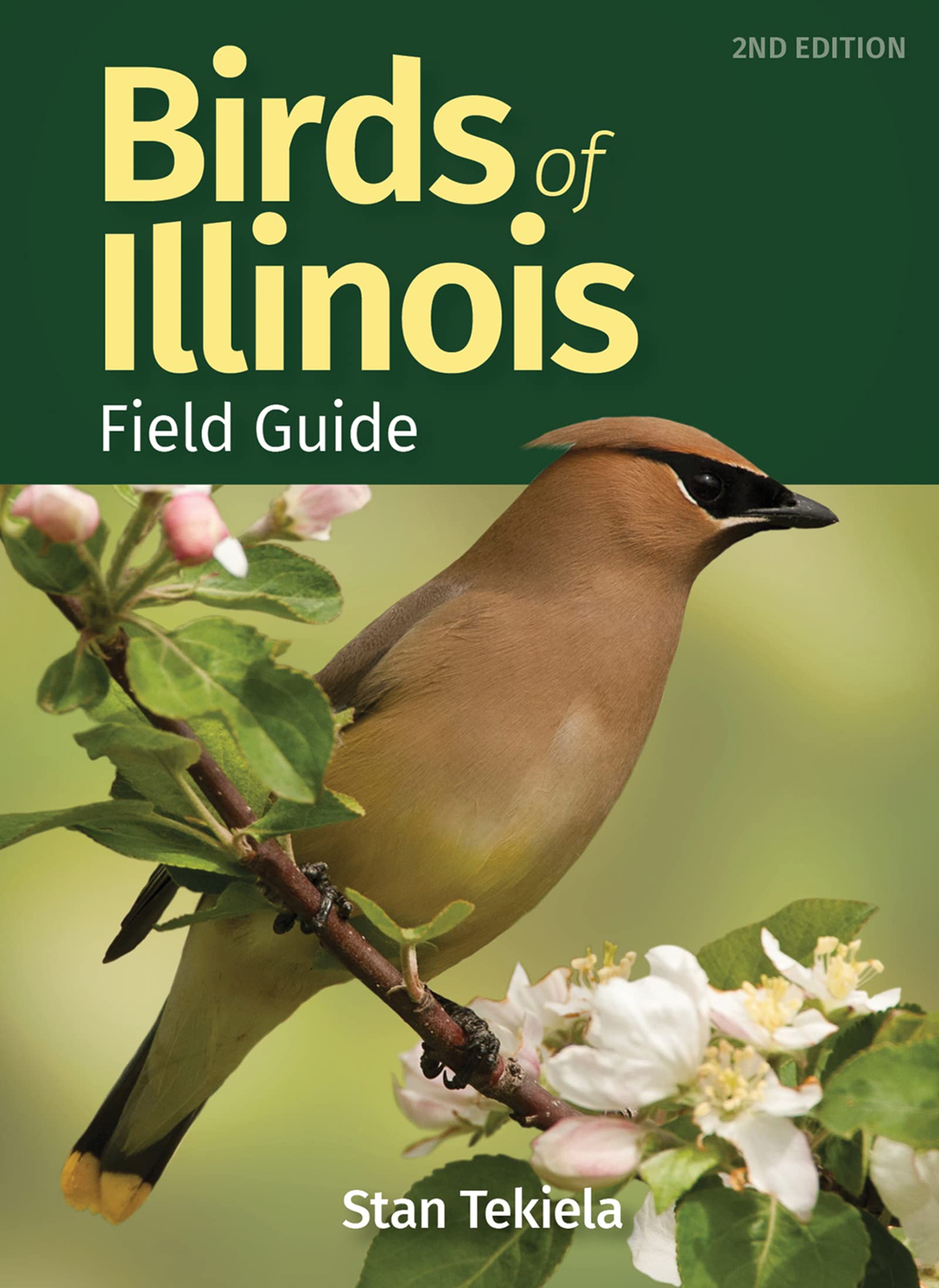 Snapklik.com : Birds Of Illinois Field Guide