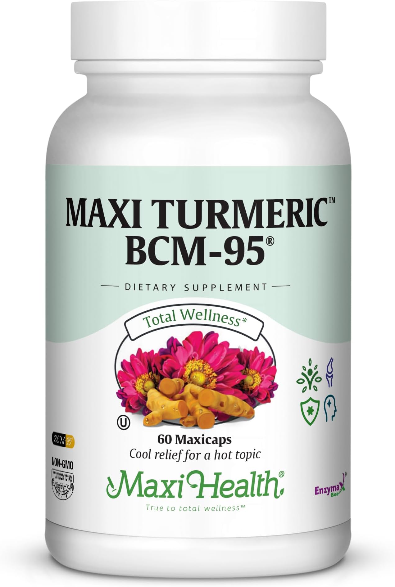 Amazon.com: Progressive Labs - Curcumin BCM-95 60 vcaps [Health and ...