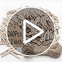 Amazon.com: Mini Clothes Pins, 260 PCS Small Wooden Clothes Pin with ...