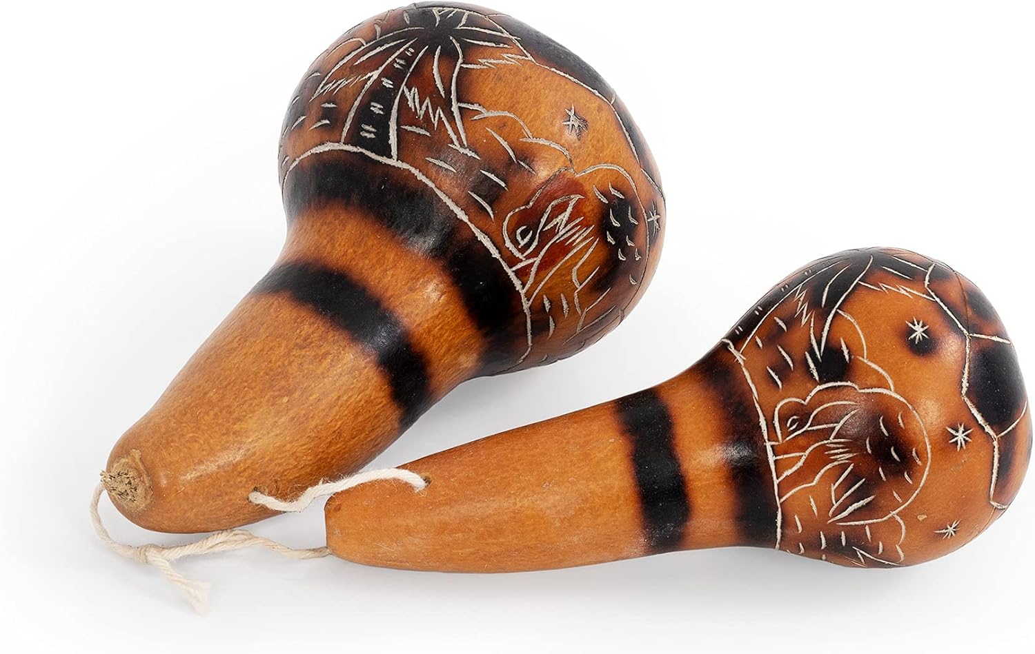 Amazon.com: Percussion Plus PP633 Small Maracas Gourd : Musical Instruments