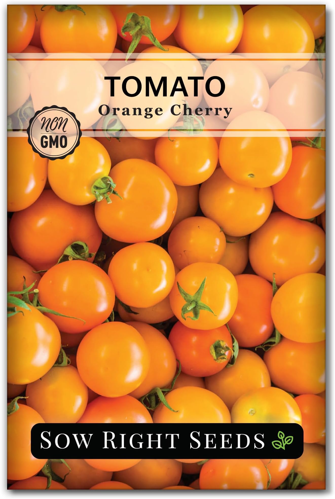 Amazon.com : Sow Right Seeds - Orange Cherry Tomato Seeds for Planting ...