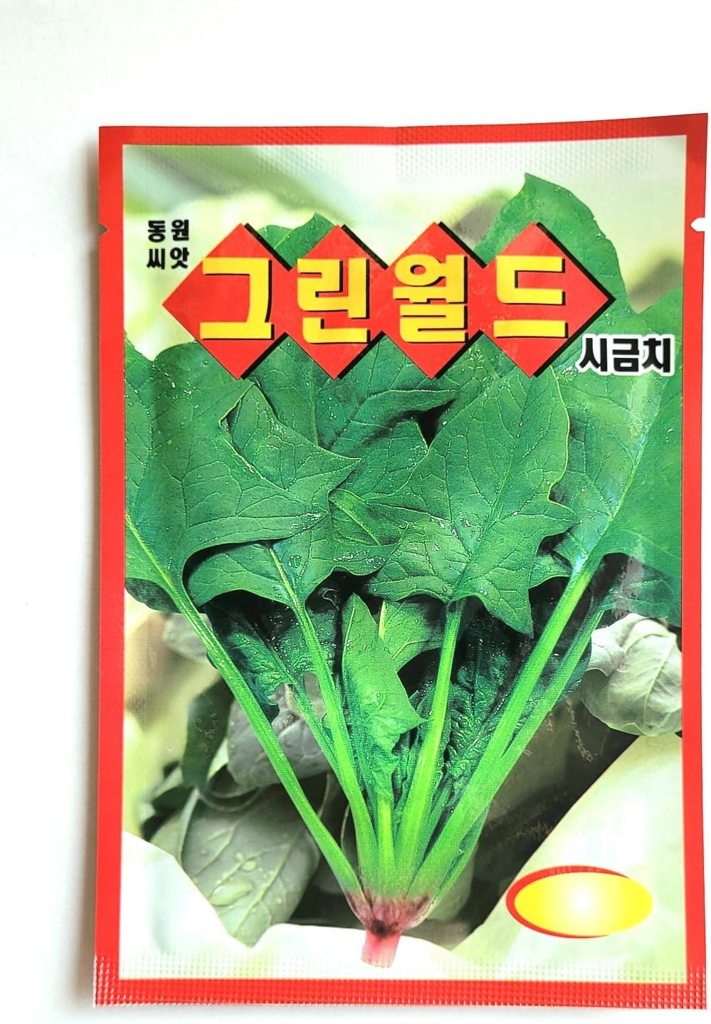Amazon.com : Gomchwi Plant Seeds Korean 1Pack 4Gram (곰취) : Patio, Lawn ...