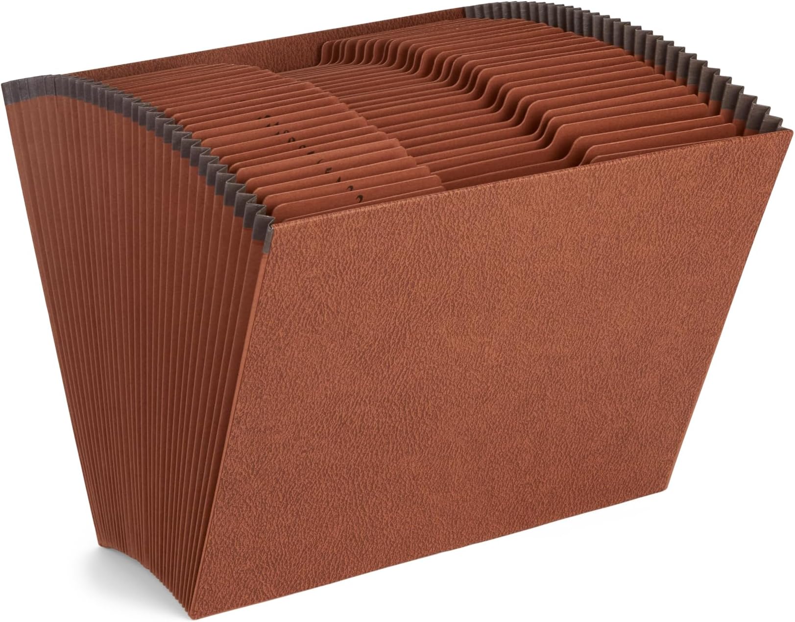 Amazon.com : Esselte Pendaflex Full-Flap Daily Expanding Files ...