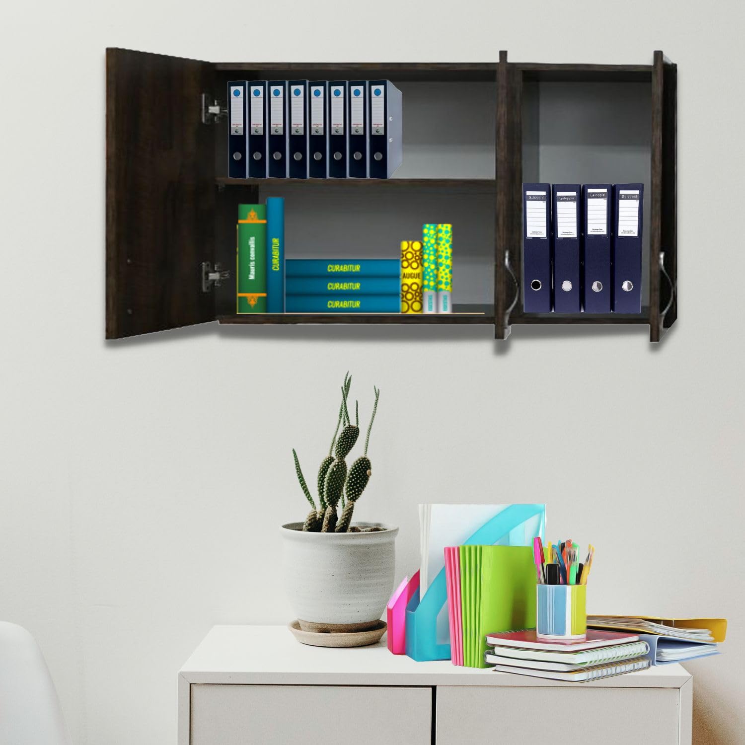 Wall Mounted Office Cabinets SPECIALITY PANELS Door Multipurpose