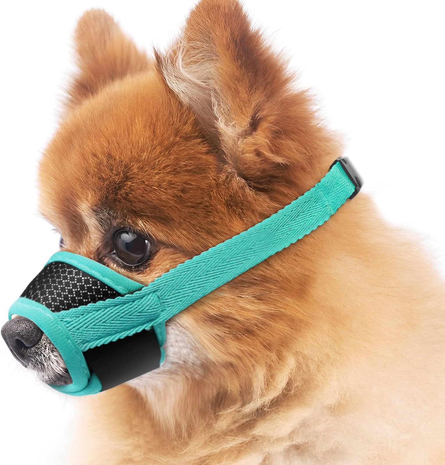 Dog Muzzle, Soft Nylon Muzzle for Small Dogs Baby Dogs Anti Biting ...