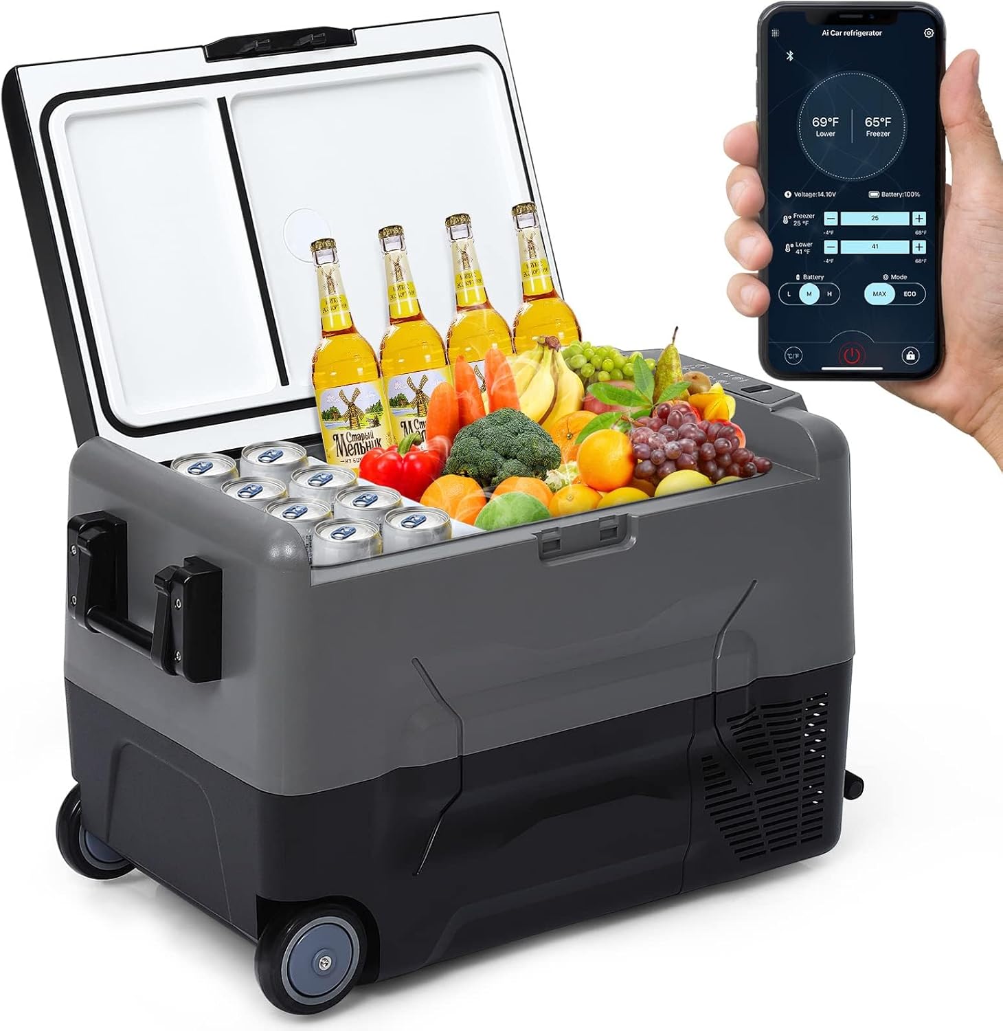 Amazon.com: NovaVale Car-Refrigerator Portable Compressor 110~240V AC ...