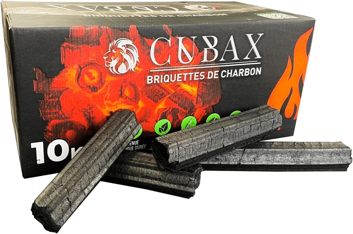 generisch Record Briquettes de charbon 25 kg lignite pour poêle A-0004 ...