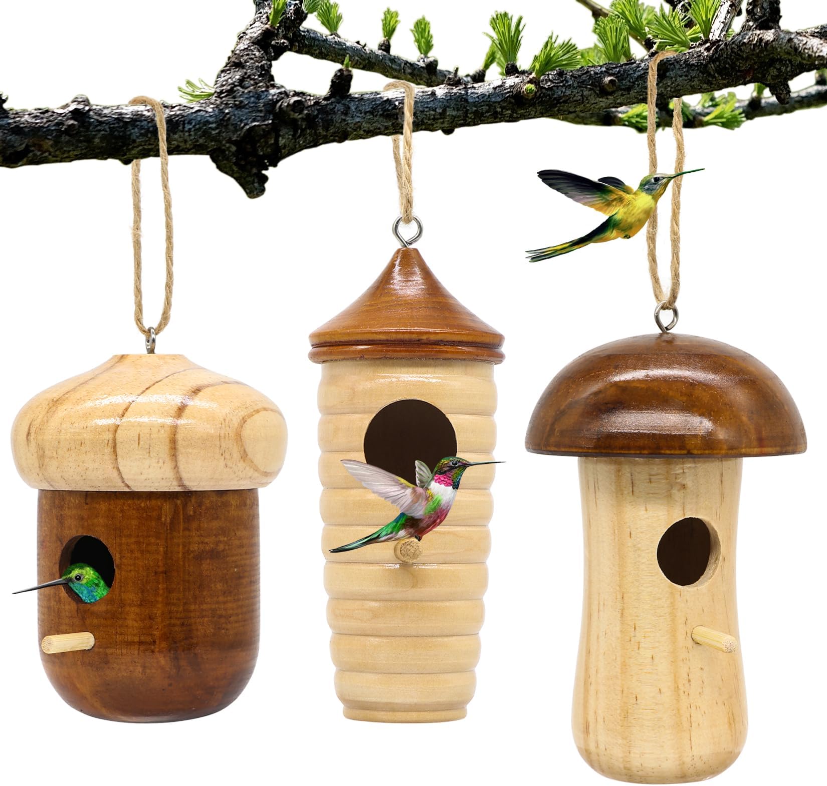 Amazon.com: 3 Pack Wooden Hummingbird House with Predator Guard ...