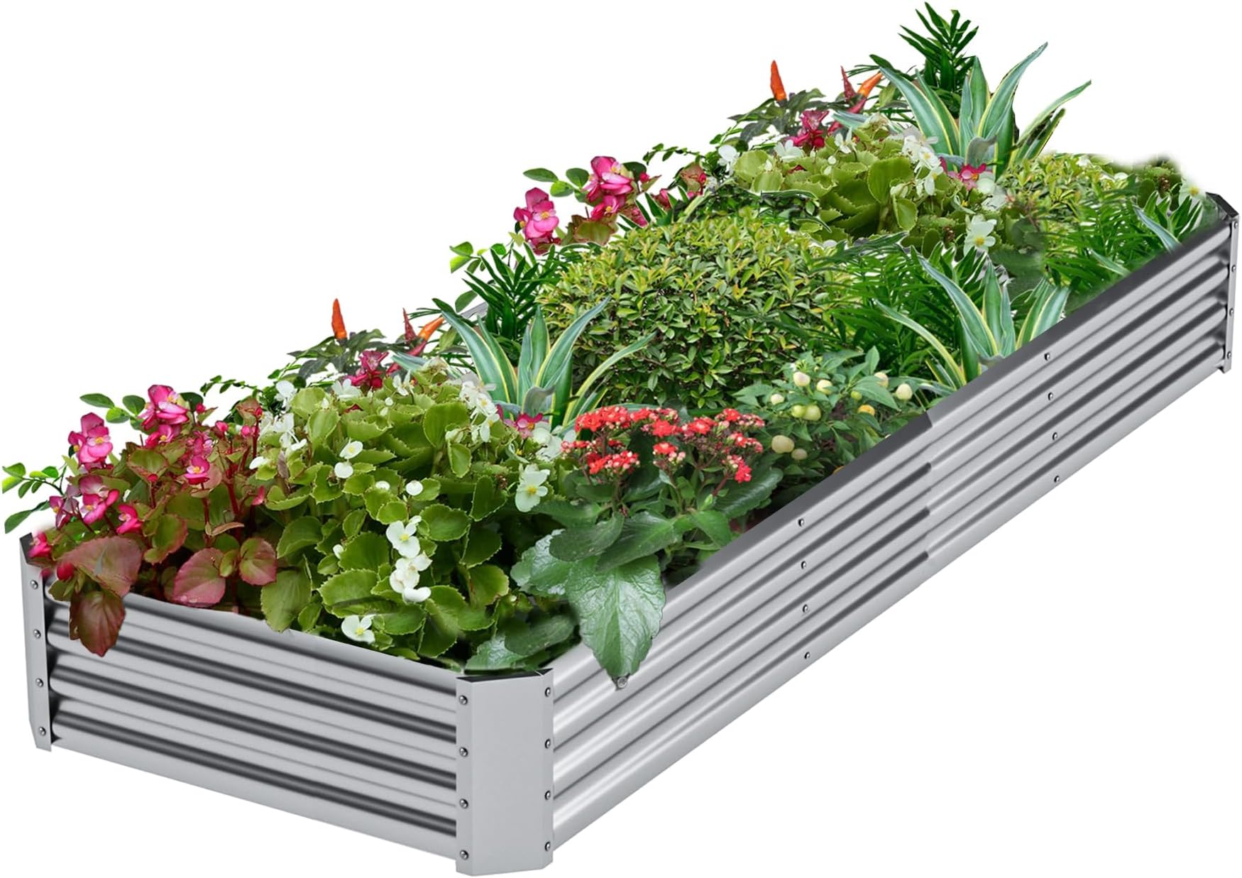 Amazon.com: Kesfitt Raised Garden Bed Kit 4x2x1FT & 6x3x1FT,Outdoor ...