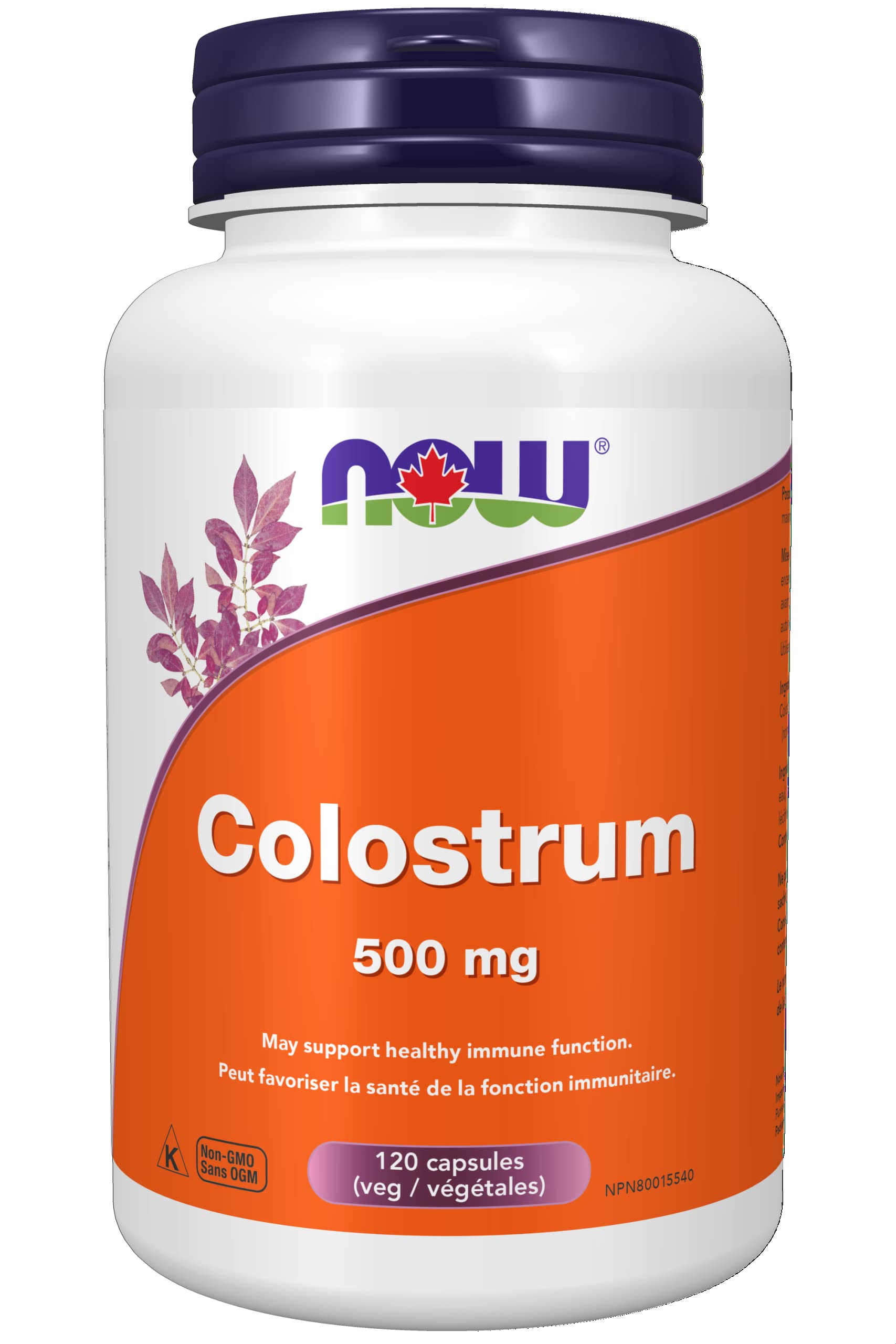 NOW - Colostrum 500mg 25% IgG 120 Vegetarian Capsules : Amazon.ca ...