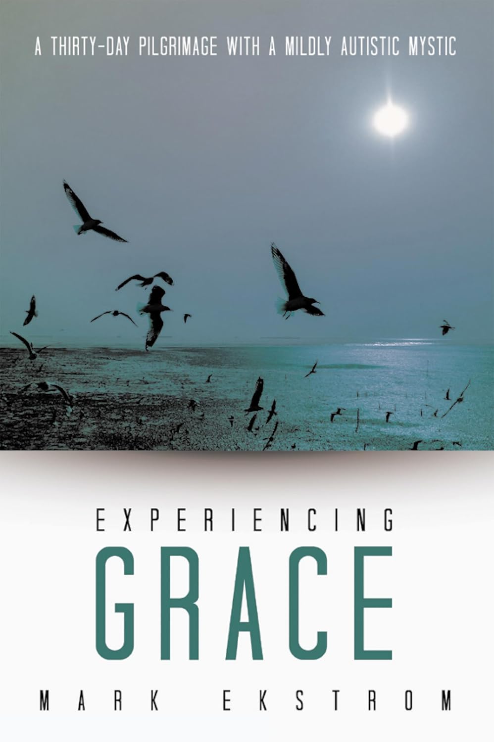 Experiencing Grace A Thirty Day Pilgrimage With A Mildly Autistic experiencing-grace-a-thirty-day-pilgrimage-with-a-mildly-autistic