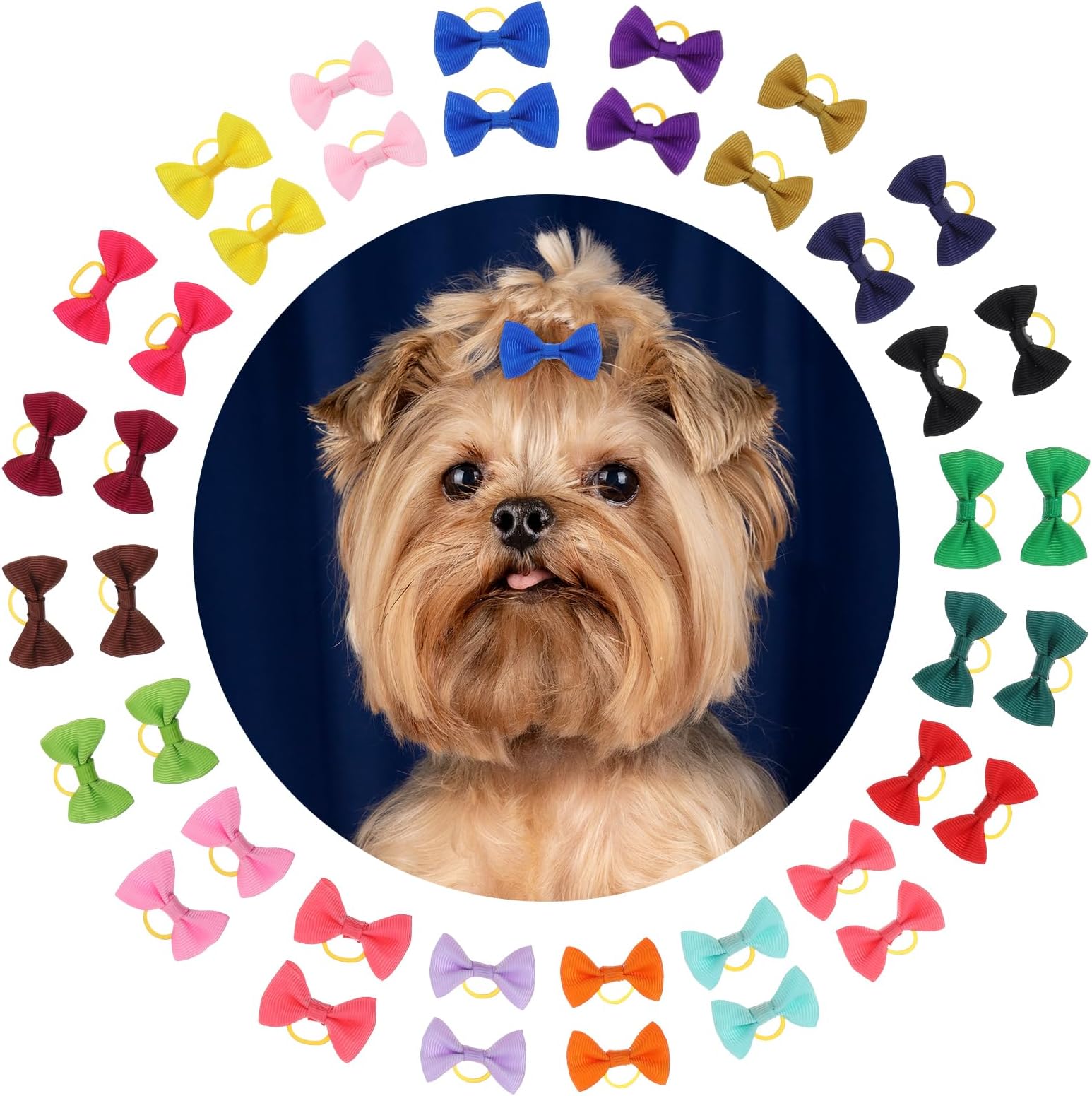 Amazon.com : Teaaha 40PCS Small Dog Hair Bows, Puppy Dogs Hair ...