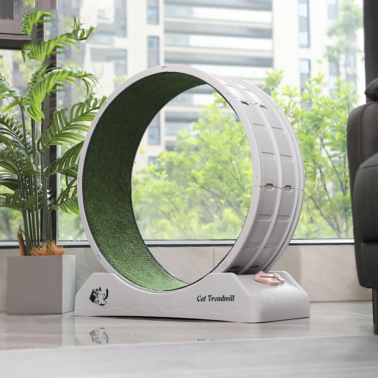 FM Feline Motion Cat Exercise Wheel - Cat Treadmill Running Machine ...