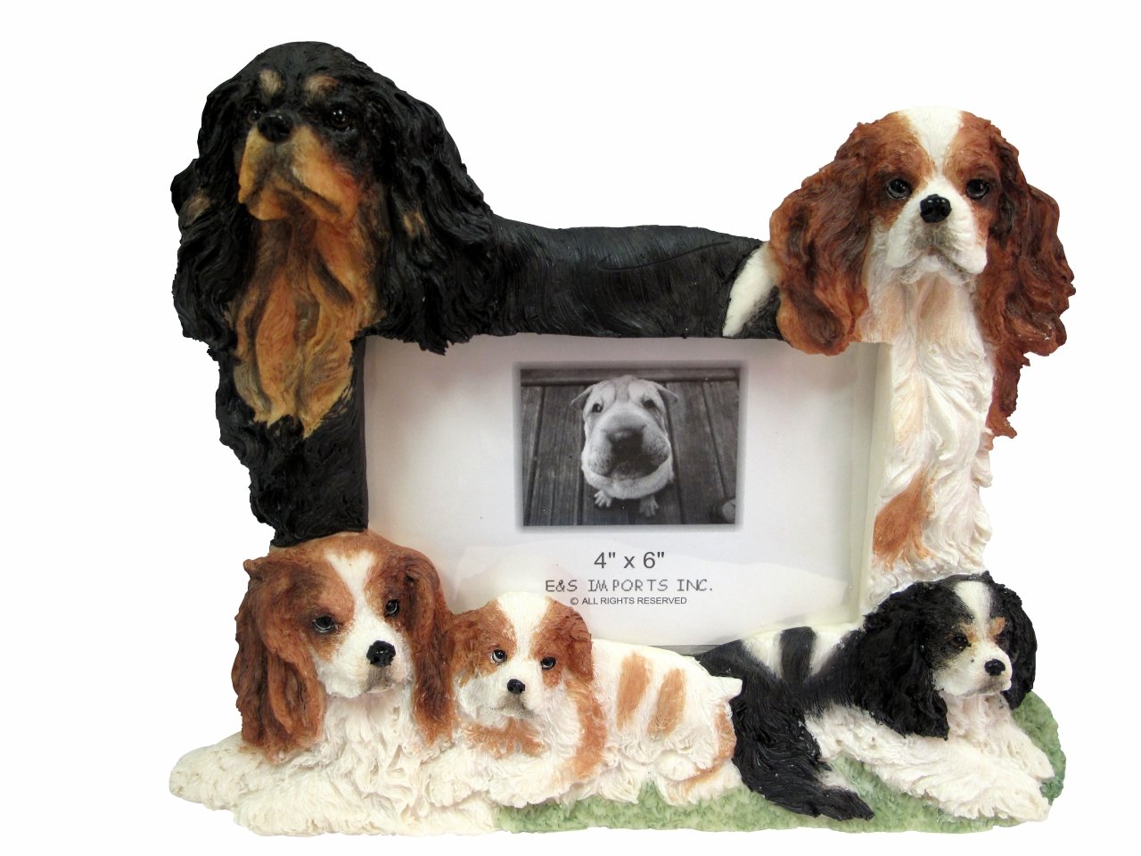 Buy King Charles Cavalier Picture Frame Holds Your Favorite 3 x 5 Inch ...