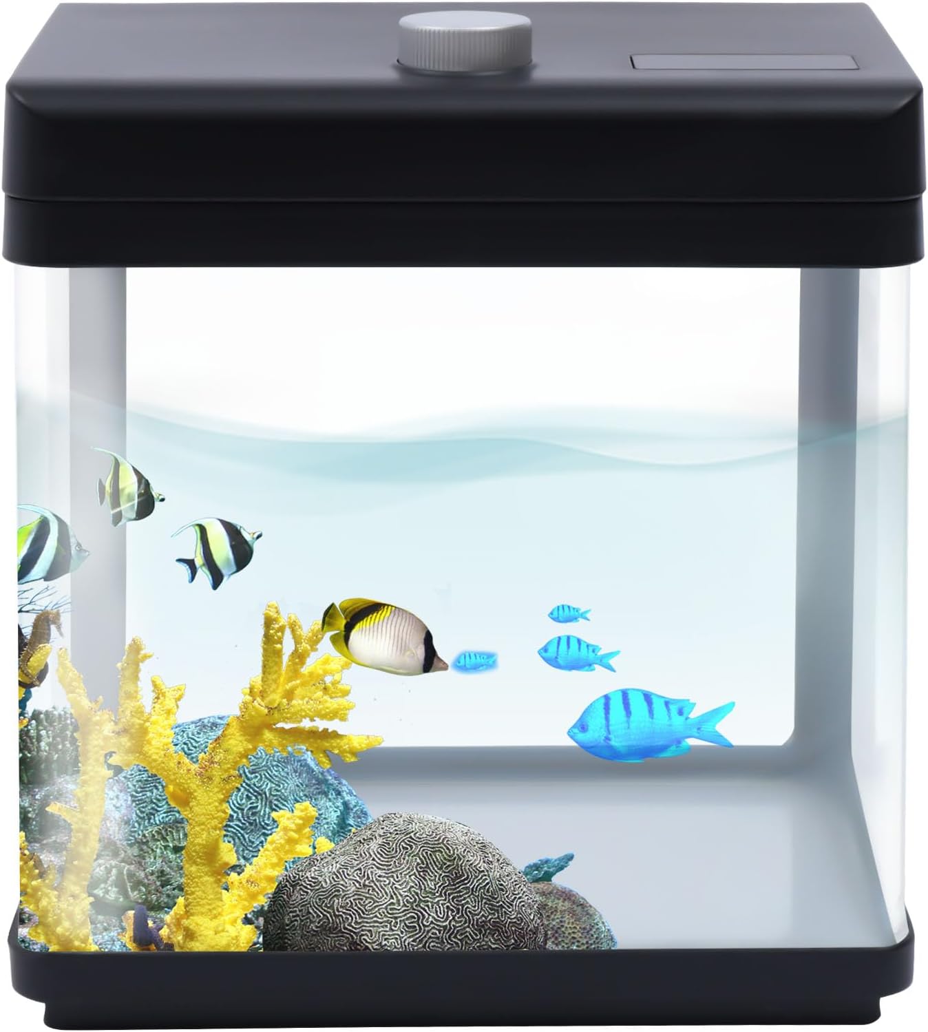 Amazon.com : Desktop Rectangular Fish Tank, 1.5 Gallon Aquarium Kits ...