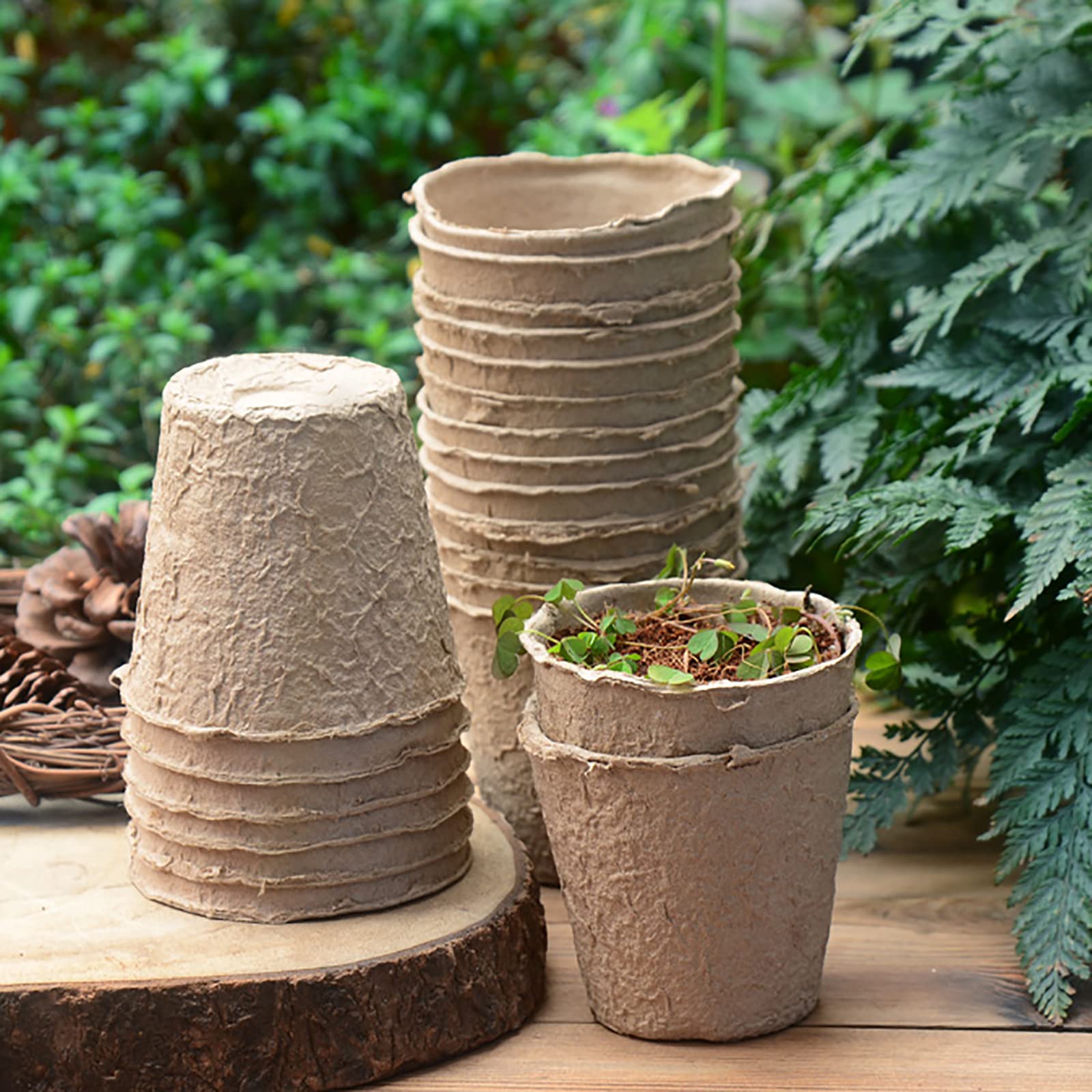 Large Biodegradable Pots For Plants Biodegradable Plant Pots, Growing ...