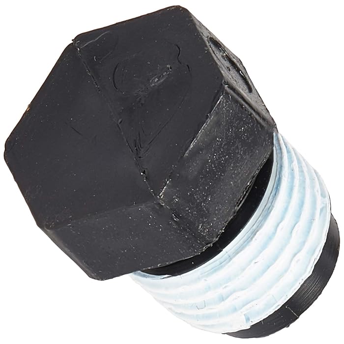 Buy Pentair WC78-40T 1/4-Inch NPT Plug Replacement Sta-Rite Pool/Spa ...