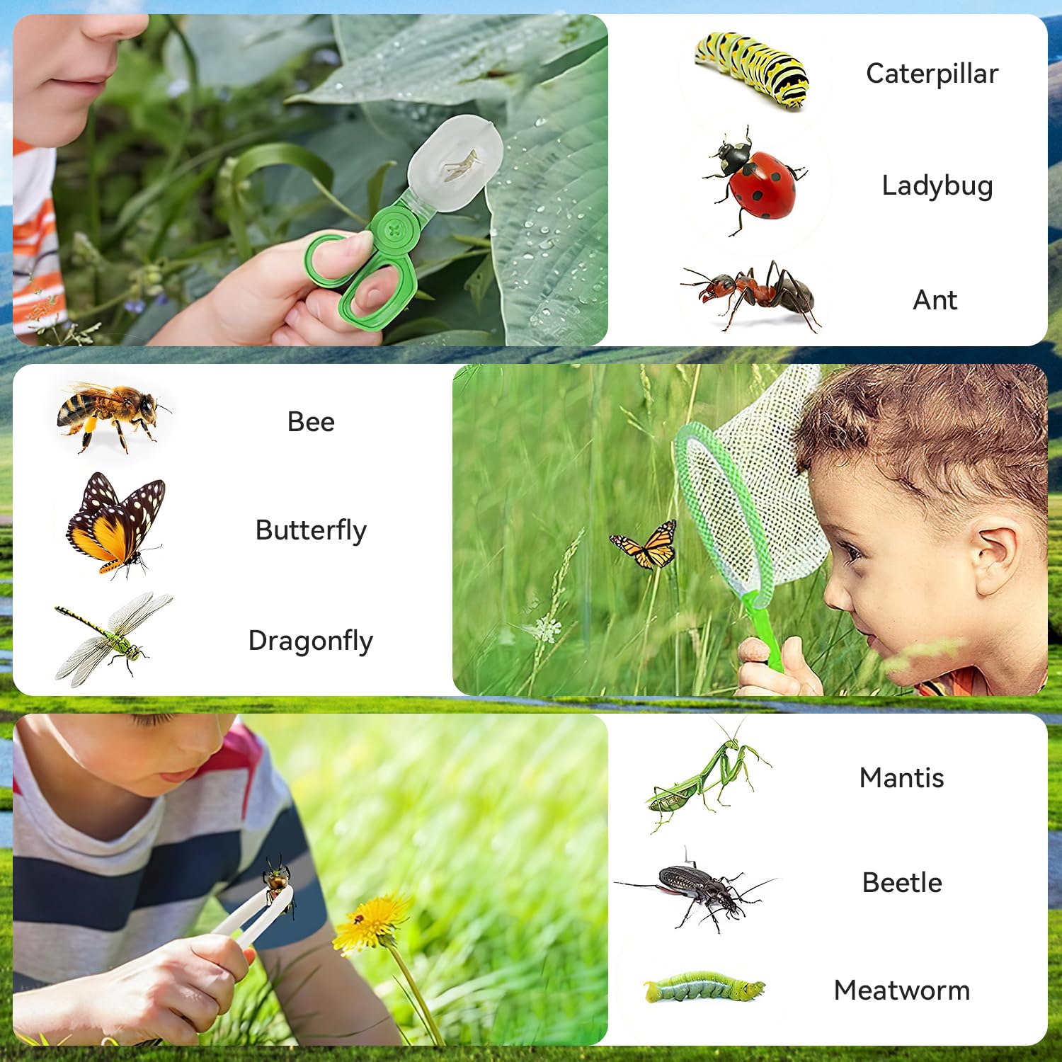 Butterfly Net Kit For Kids - 360° Magnifying Habitat With Net, Tweezer ...