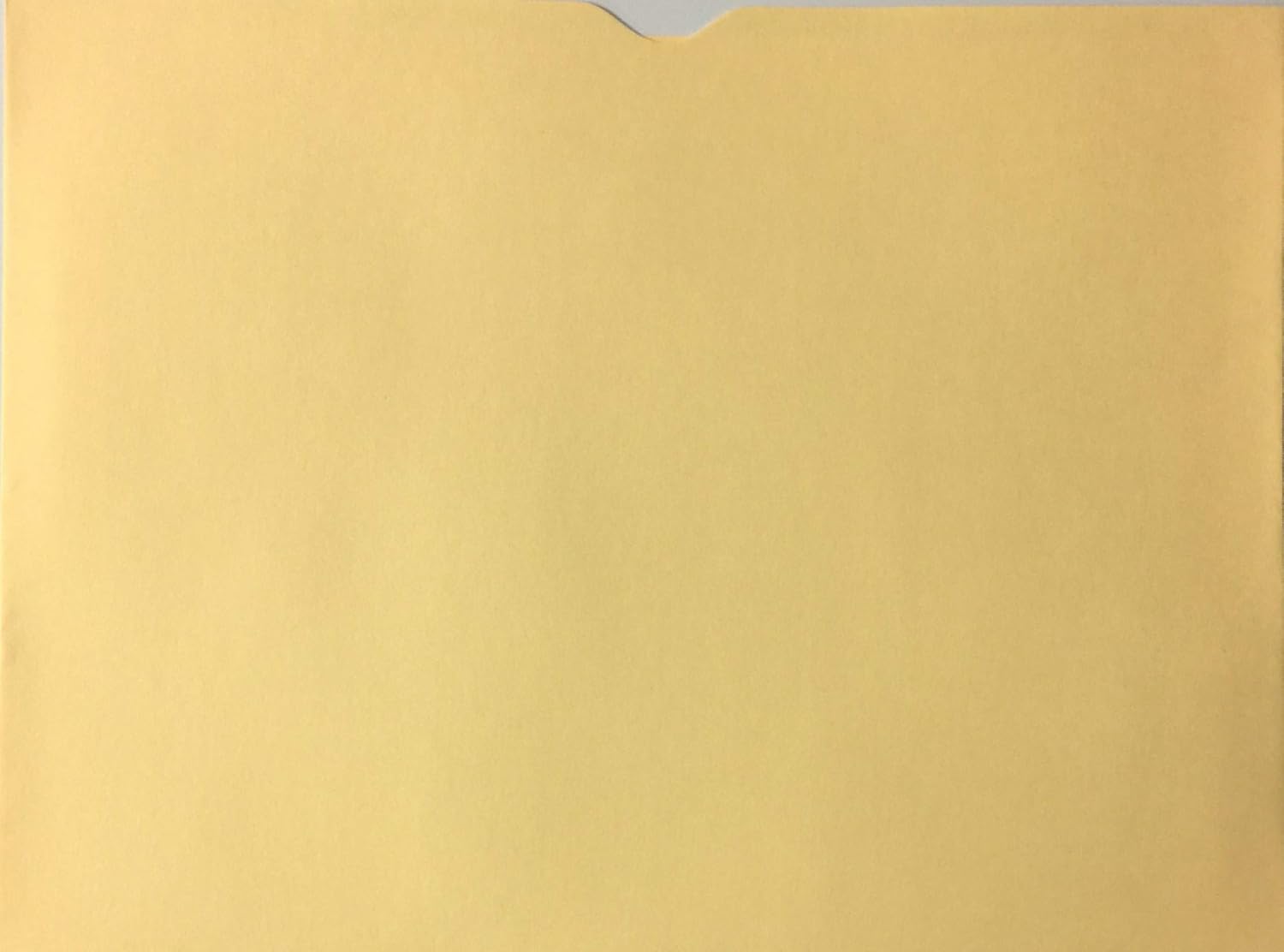 Amazon.com : Vehicle Deal Envelopes - Plain/Blank Deal Jackets 500 Qty ...