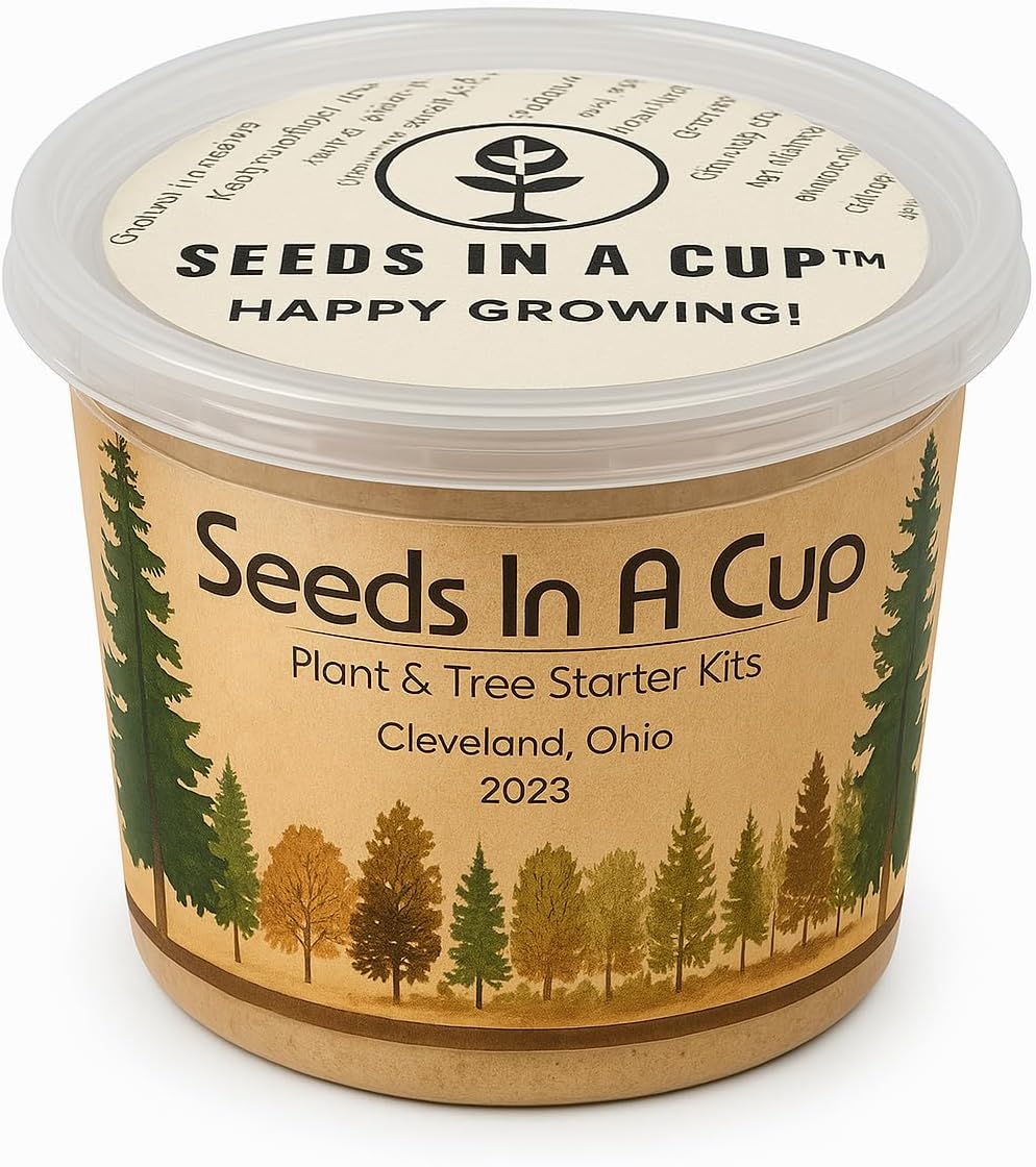 Amazon.com : Seeds In A Cup Cherry Tree Grow Kit – Easy Seed Starter ...